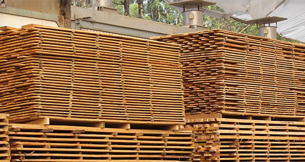 ᐈ Madepinos | Venta de Madera inmunizada